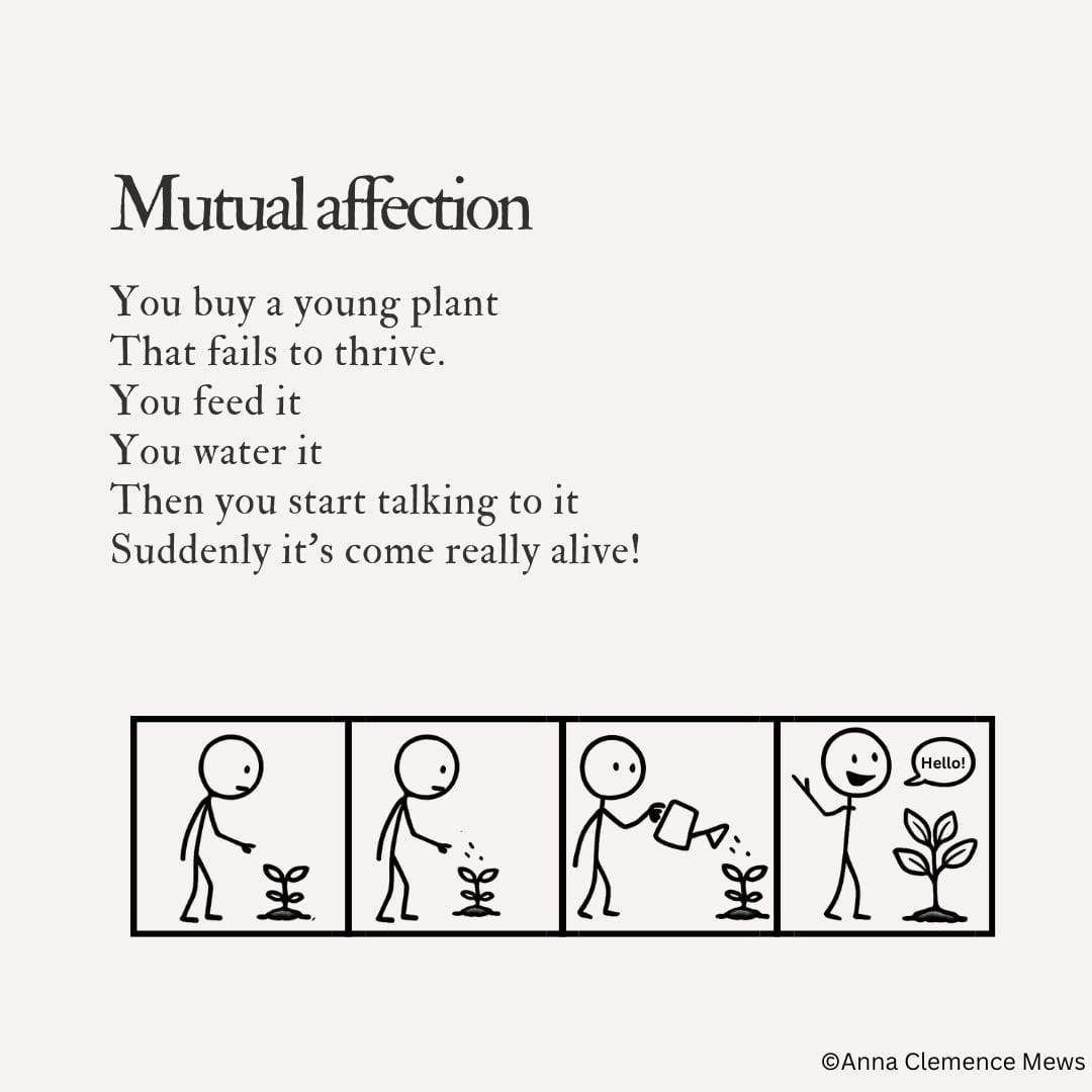 Do Plants Respond to Your Voice? | Anna's Mewsings